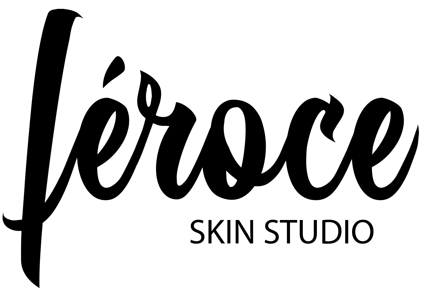 Collections – FÉROCESKINSTUDIO